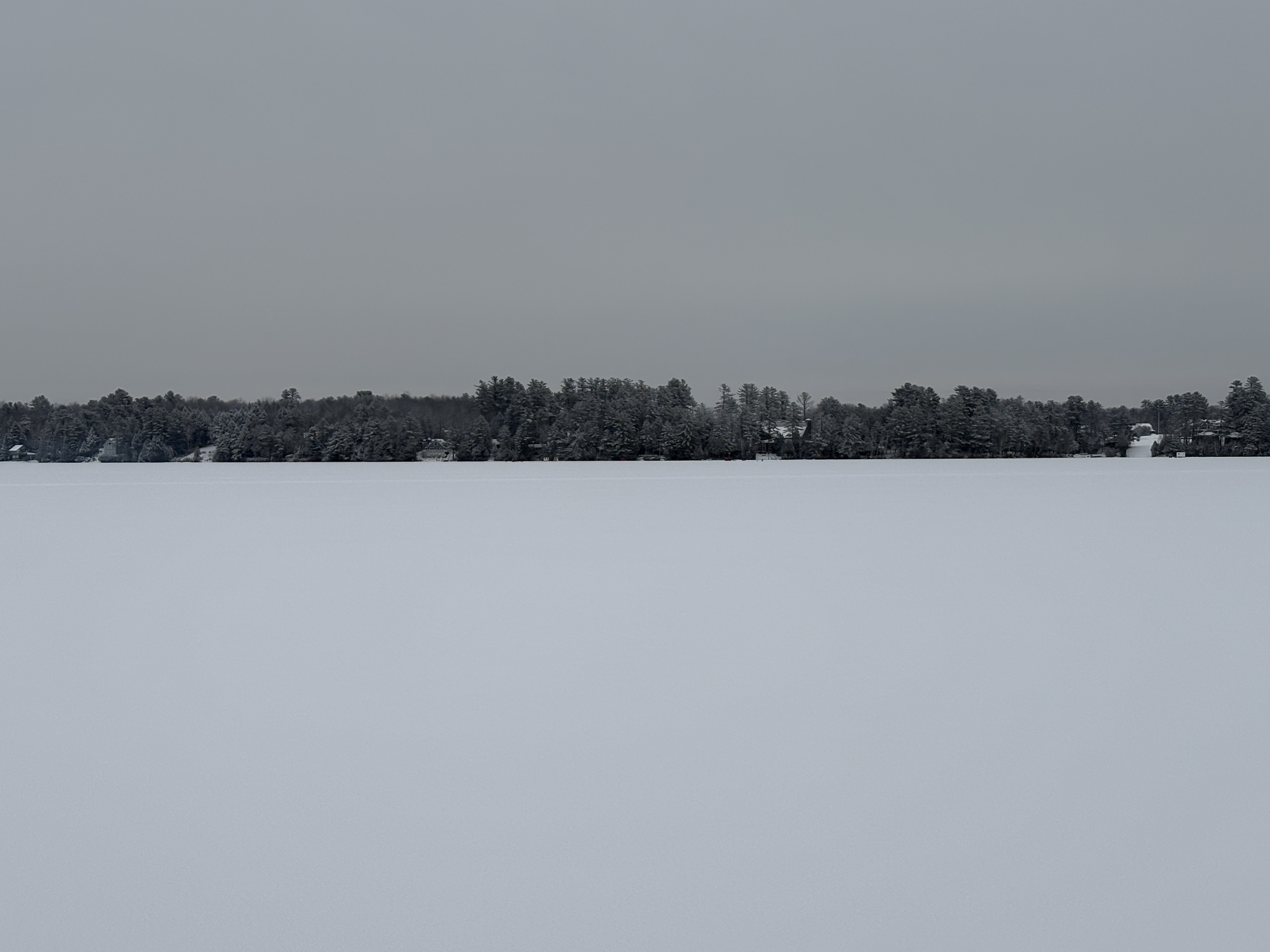 I Just Cleaned up After “Breakfast”! | Queen Bee Knits